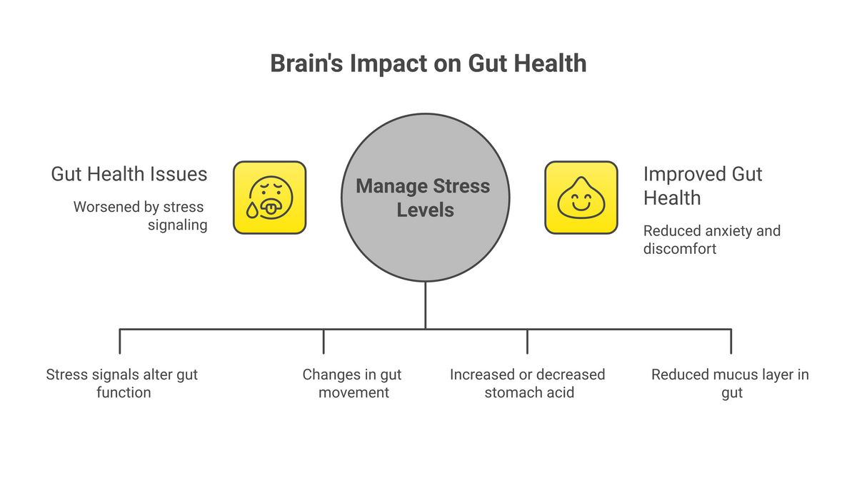 The Gut-Brain Connection: How Your Gut | Daiwa Health