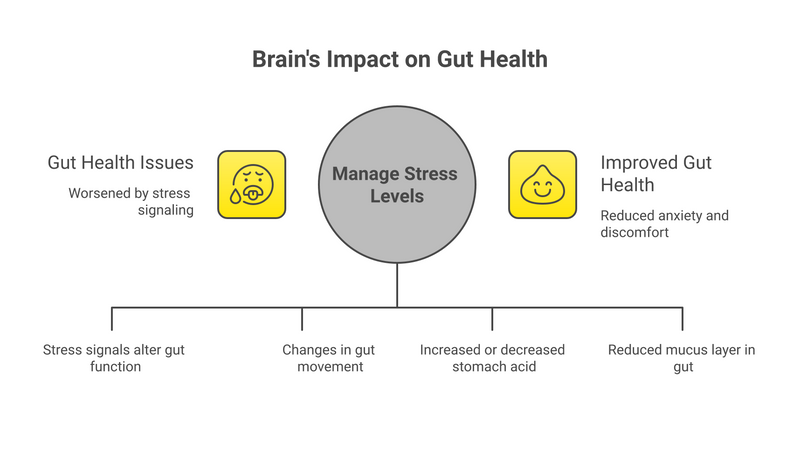 The Gut-Brain Connection: How Your Gut | Daiwa Health